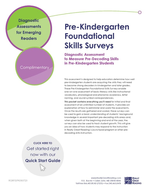 Foundational Skills Surveys Form